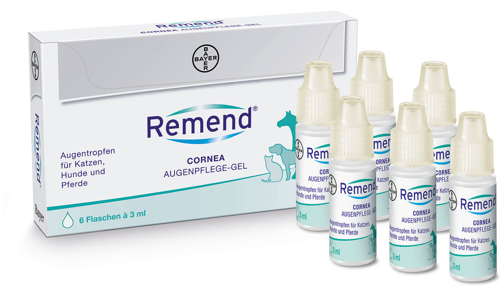 Remend Cornea Augenpflege-Gel für Katzen, Hunde und Pferde kaufen ...